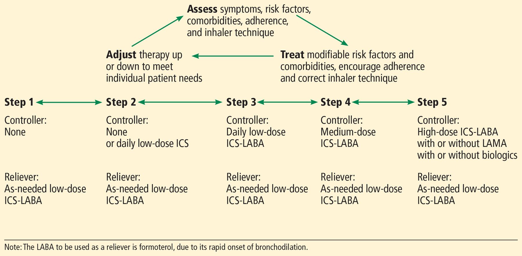 Managing Adult Asthma The 2019 Gina Guidelines Cleveland Clinic